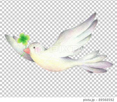 A white bird flapping its wings in addition to... - Stock Illustration ...