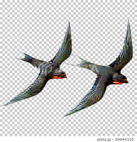 Watercolor style realistic swallow illustration - Stock Illustration ...