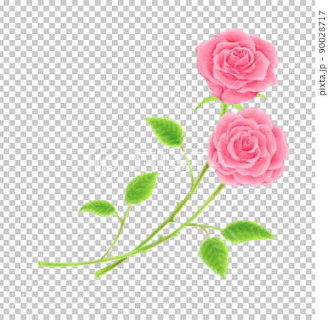 Rose (pink) two-wheel frame - Stock Illustration [90028717] - PIXTA