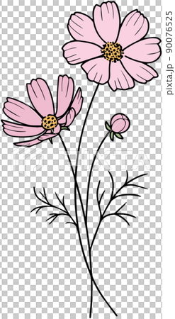 Birth Flower - October, Cosmos - Stock Illustration [90076525] - PIXTA