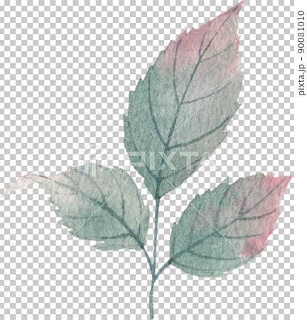 Pastel tropical floral watercolor png clipart - Stock Illustration ...