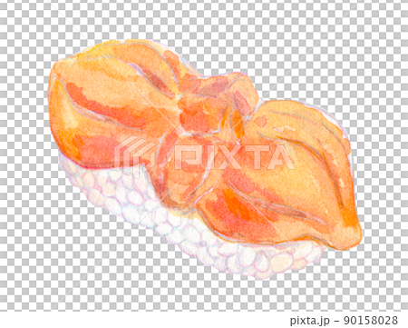 Sushi watercolor illustration ark shell - Stock Illustration [90158028 ...