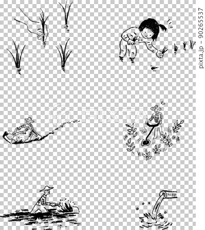 Rice planting line art illustration from rice... - Stock Illustration ...