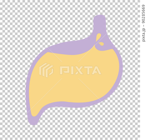 Stomach acid hyperacidity - Stock Illustration [90285669] - PIXTA