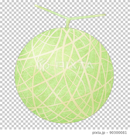 Hand-painted melon - Stock Illustration [90300081] - PIXTA