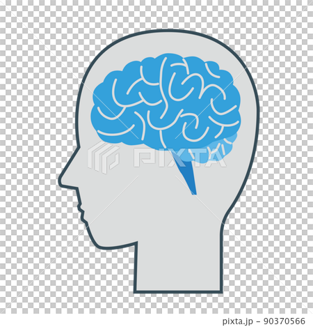 Illustration of the profile of the brain and... - Stock Illustration ...