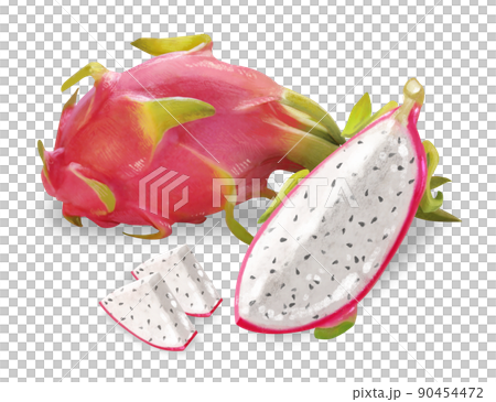 Real illustration of dragon fruit 5 with shadow - Stock Illustration ...