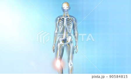 knee pain signals reach the brainのイラスト素材 [90584815] - PIXTA