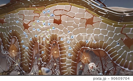Microbiology illustration cells that protect...のイラスト素材 [90609704] - PIXTA