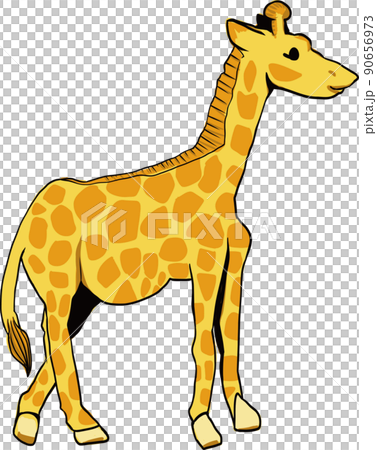 Standing giraffe sideways / zoo - Stock Illustration [90656973] - PIXTA