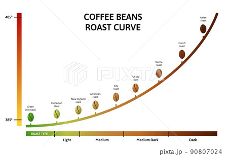 Coffee roasting levels. Roast curve, optimal...のイラスト素材 [90807024] - PIXTA