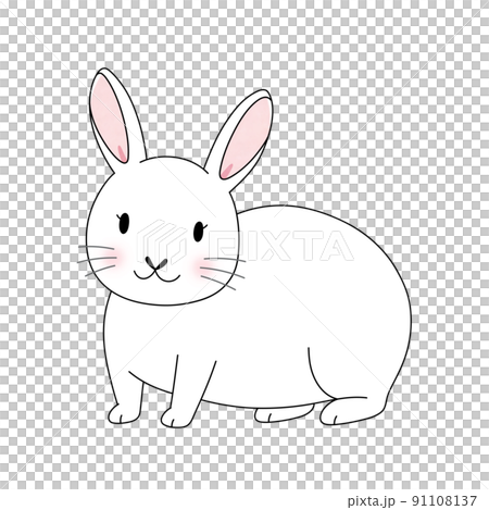 White female rabbit - Stock Illustration [91108137] - PIXTA