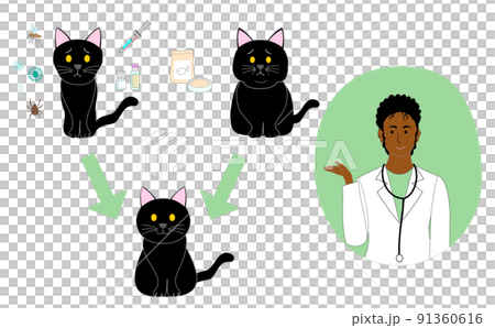 A set of lean white cats, ordinary white cats,... - Stock Illustration ...