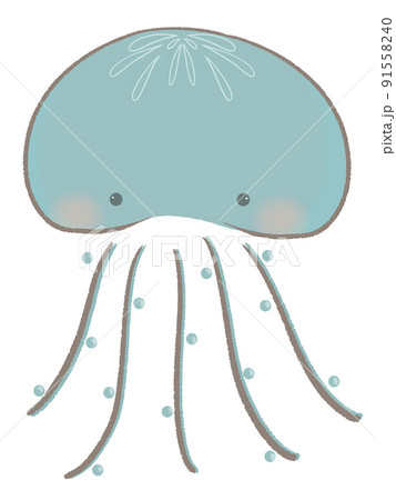 Jellyfish Scientific Illustration