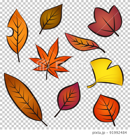 Illustration set of fallen leaves of powerful... - Stock Illustration ...