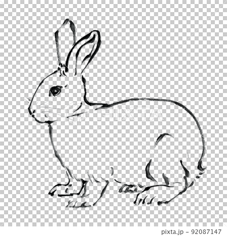 Rabbit drawn with ink painting technique (line... - Stock Illustration ...
