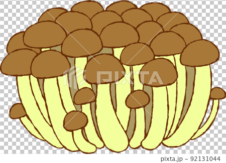 Shimeji - Stock Illustration [92131044] - PIXTA