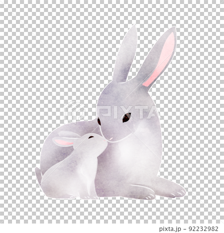 Rabbit parent and child - Stock Illustration [92232982] - PIXTA