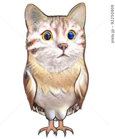 Bird Cat Hybrid Owl Cat Hybrid Art Board Prints For Sale | Redbubble
