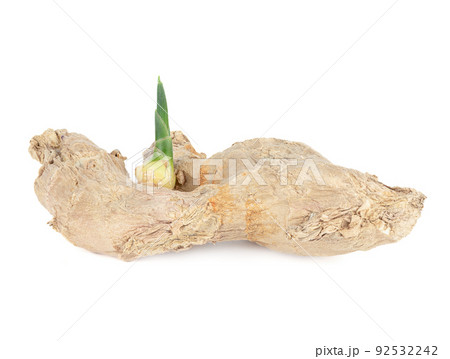 Fresh ginger root with young green sprout on...の写真素材 [92532242] - PIXTA