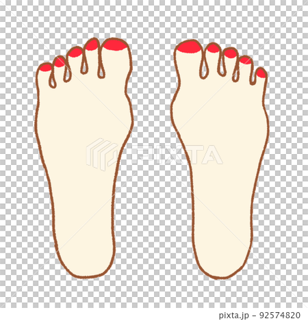 A simple figure of the foot acupoint, frontal... - Stock Illustration ...