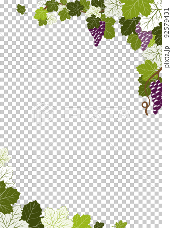 Grape frame A4 size - Stock Illustration [92579431] - PIXTA