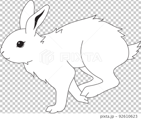 White rabbit running monochrome - Stock Illustration [92610623] - PIXTA