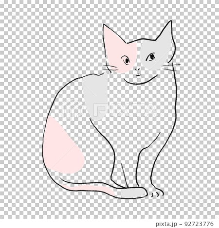 Vector line drawing illustration of a calico cat - Stock Illustration ...
