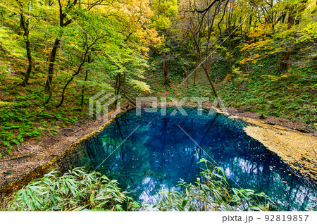 青森県 紅葉の白神山地 ～十二湖・青池～の写真素材 [92819857] - PIXTA