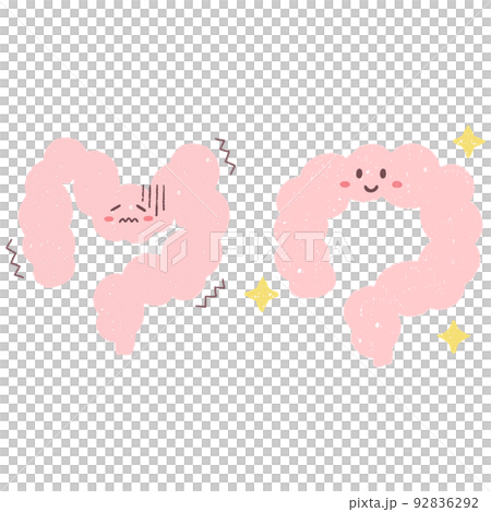 Hand drawn twisted intestine and healthy... - Stock Illustration ...