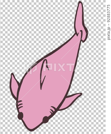 A swimming mouse shark (red) seen from above - Stock Illustration ...