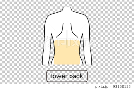 Female Lower Back Hair