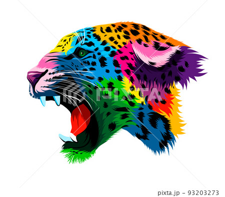 Snarling Leopard Stock
