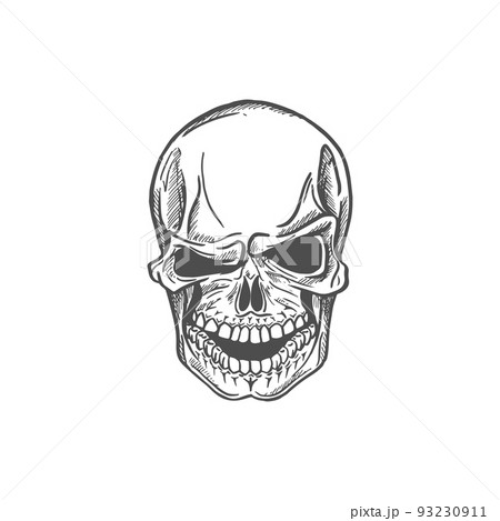 Human smiling skull with winking eye isolated...のイラスト素材 [93230911] - PIXTA