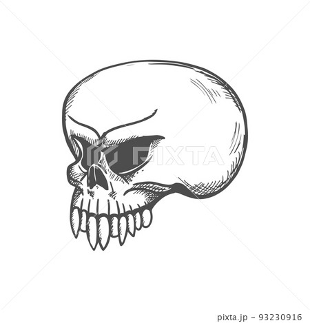 Skull with sharp demonic teeth isolated...のイラスト素材 [93230916] - PIXTA
