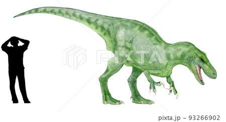 Megaraptor Size