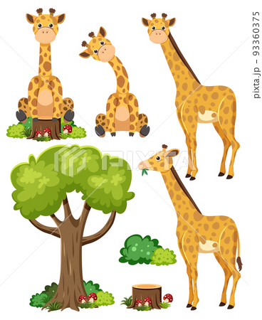 Wild animals set with nature elementsのイラスト素材 [93360375] - PIXTA
