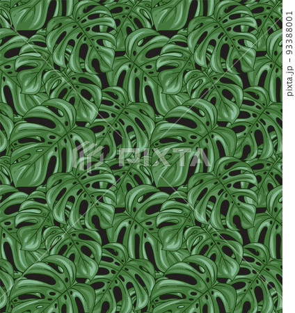 Monstera seamless patternのイラスト素材 [93388001] - PIXTA