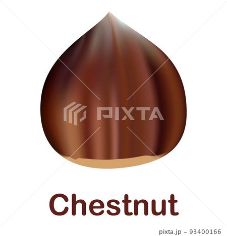 Chestnut icon, realistic styleのイラスト素材 [93400166] - PIXTA