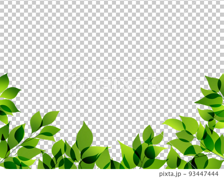 Fresh green background-frame-bottom - Stock Illustration [93447444] - PIXTA