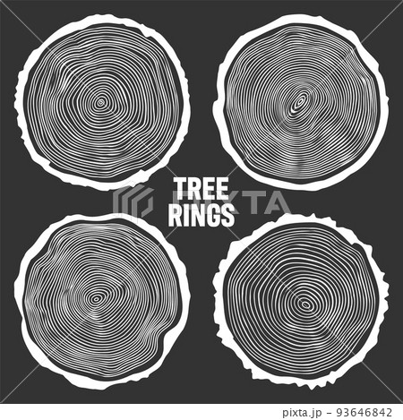 White Oak Tree Rings