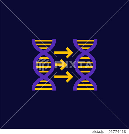 DNA replication, genetics vector iconのイラスト素材 [93774418] - PIXTA