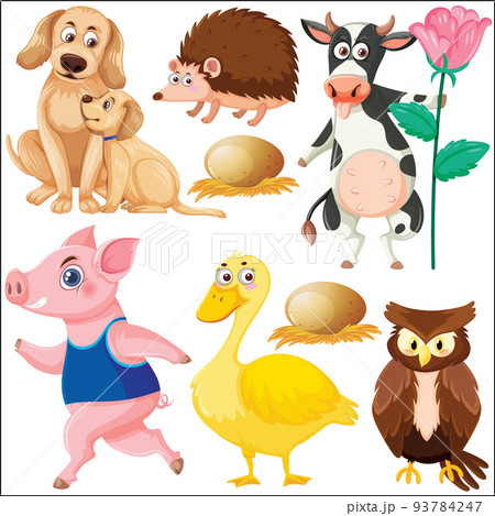 Land Animals Clip Art
