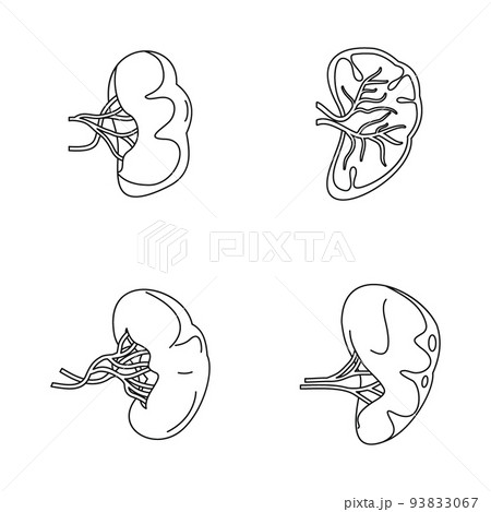 Spleen milt anatomy icons set, outline styleのイラスト素材 [93833067] - PIXTA