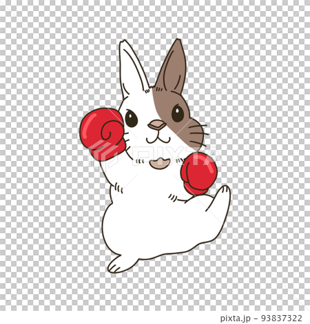 boxer rabbit - Stock Illustration [93837322] - PIXTA