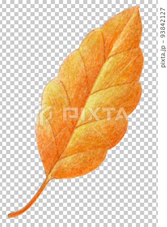 Colored pencil drawing one point of fallen... - Stock Illustration ...