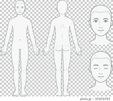 Unisex body and face chart - Stock Illustration [93859765] - PIXTA