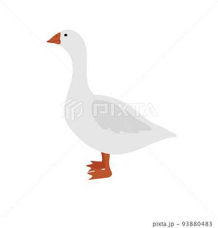 Vector hand drawn flat goose duckのイラスト素材 [93880483] - PIXTA