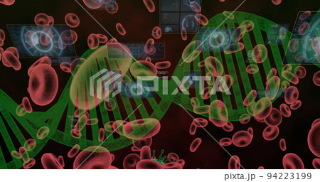 Image of red blood cells, dna strand spinning,...のイラスト素材 [94223199] - PIXTA