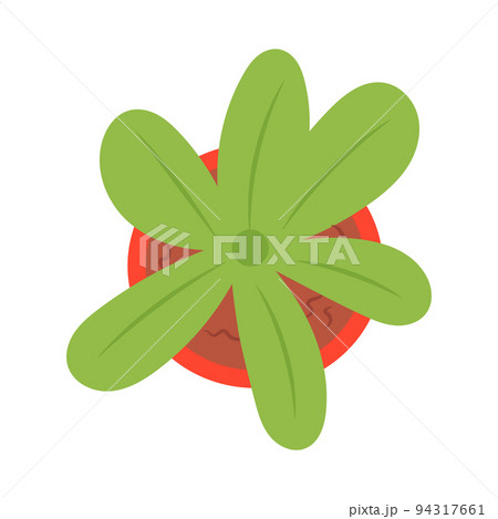 Flower Top View Icon